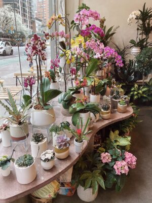 11 Best Coffee Shops in New York City - Ana Florentina