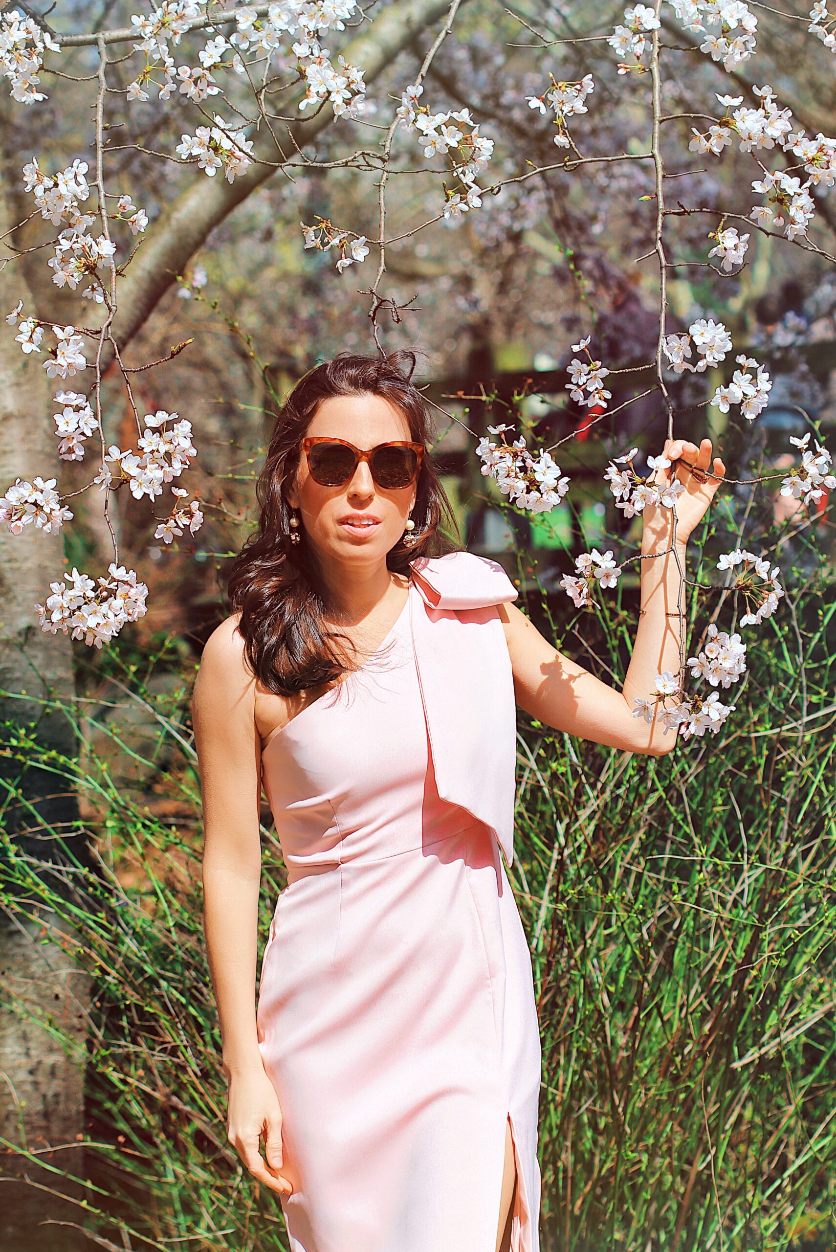 The Best Places To See Cherry Blossoms in New York 2025 - Ana Florentina