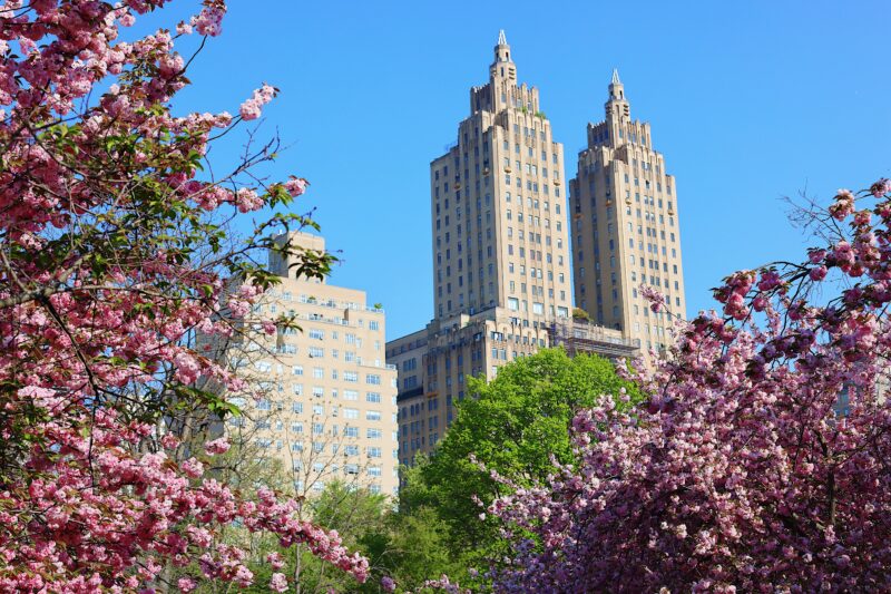 The Best Places To See Cherry Blossoms in New York 2025 - Ana Florentina