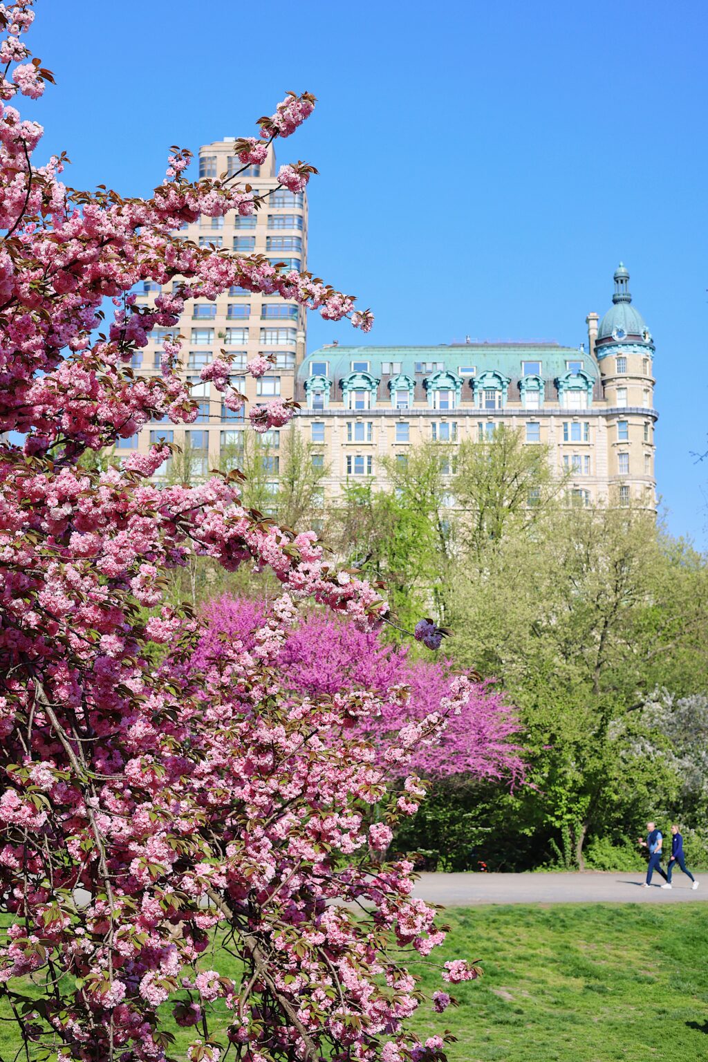 The Best Places To See Cherry Blossoms in New York 2025 - Ana Florentina