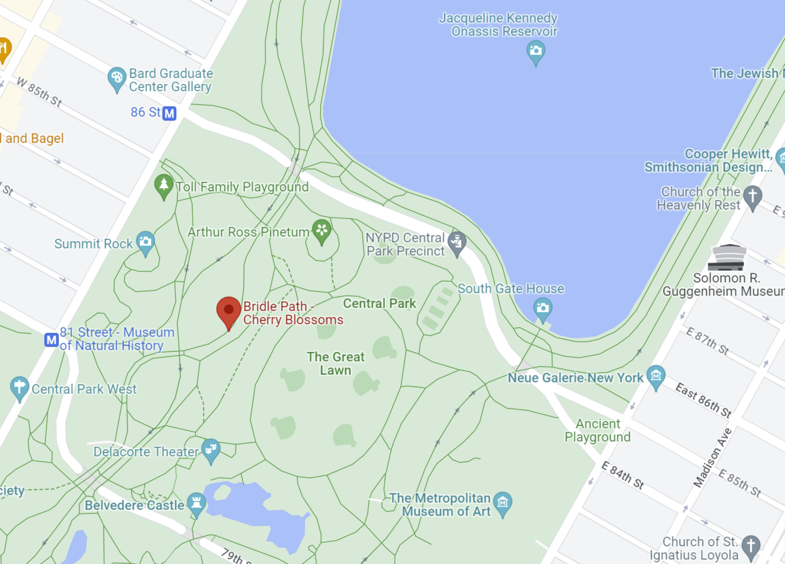 The Best Places To See Cherry Blossoms in New York 2025 - Ana Florentina