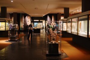A Guide To The American Museum of Natural History NYC: Highlights ...