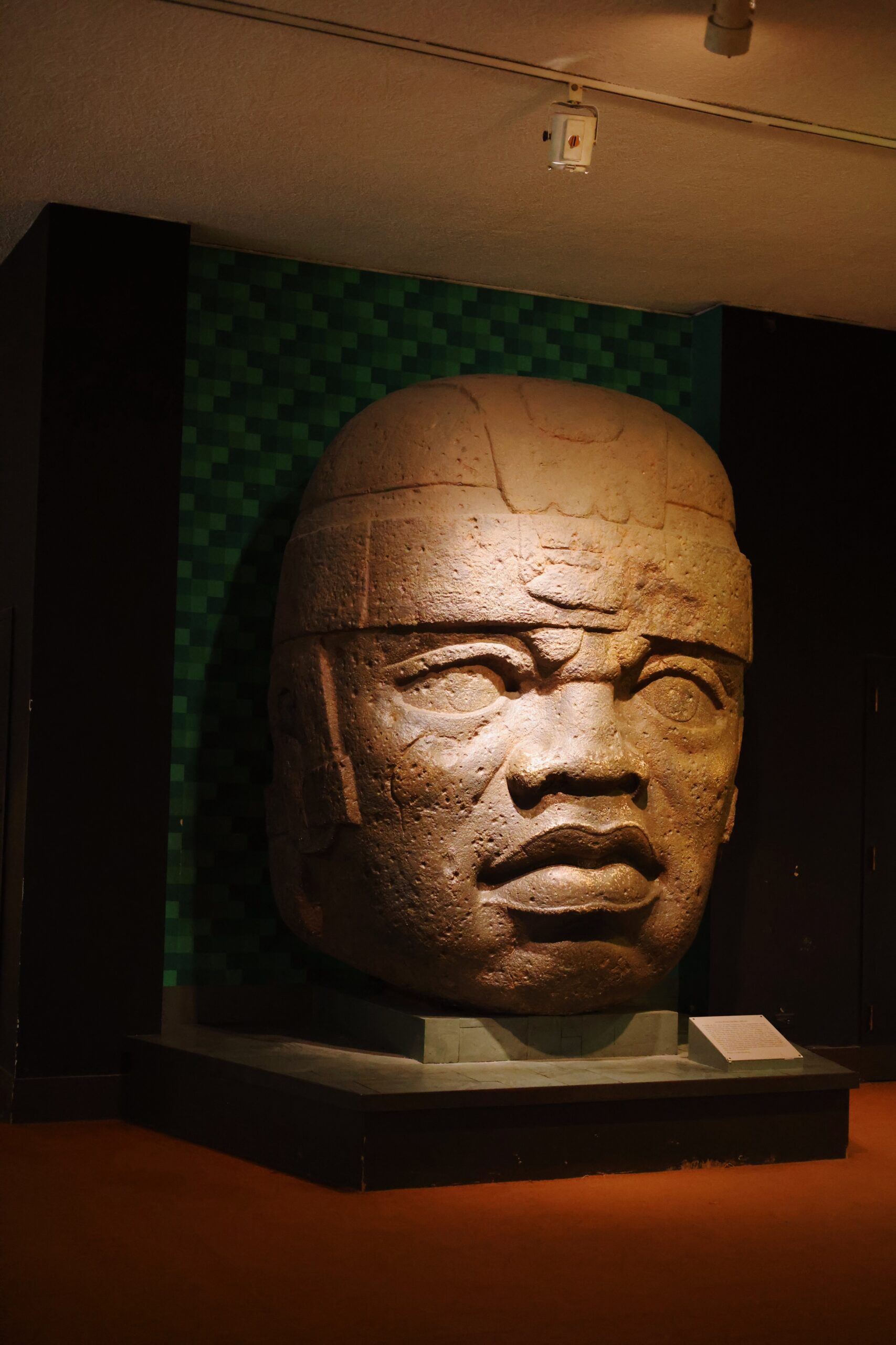 A Guide To The American Museum of Natural History NYC: Highlights ...