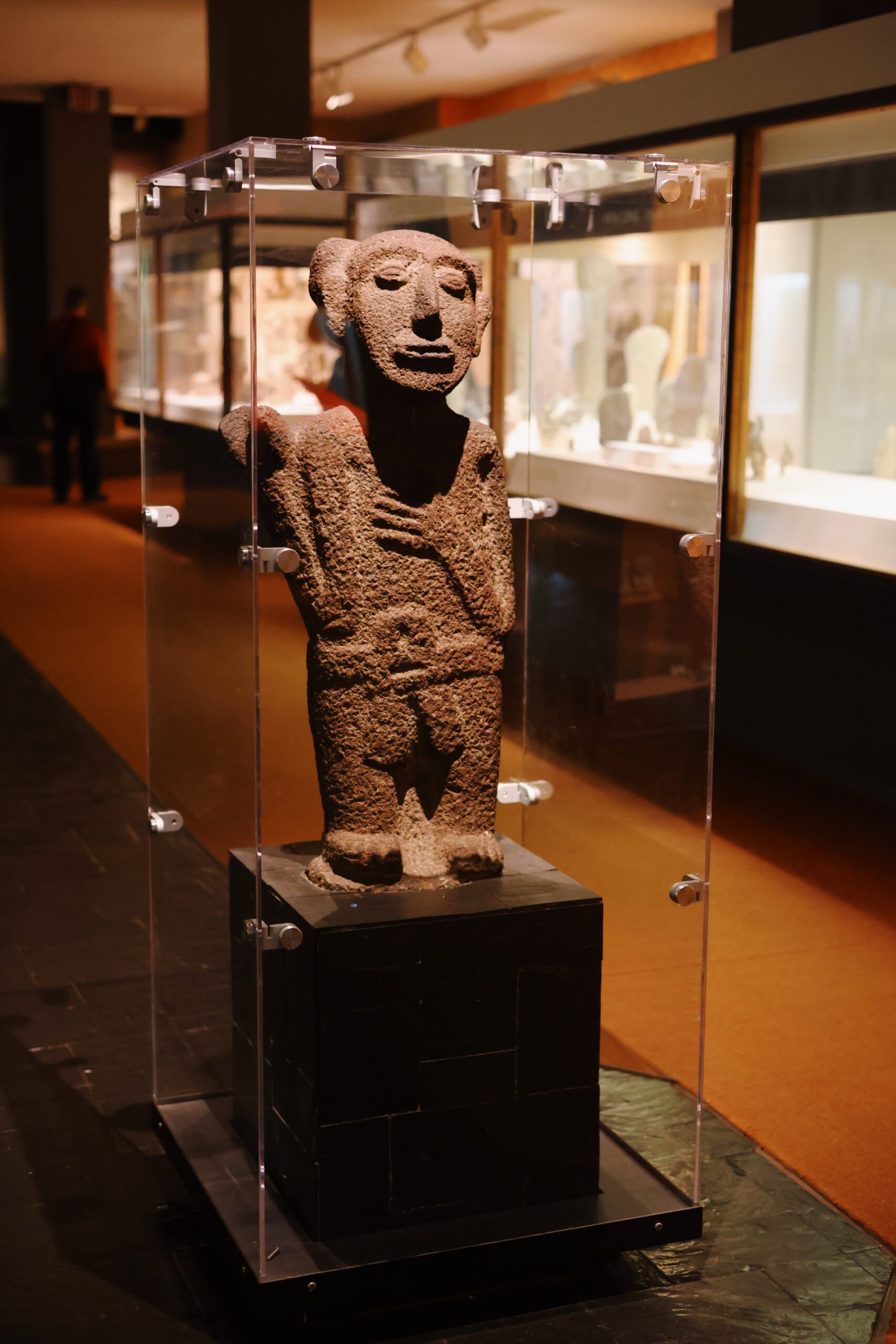 A Guide To The American Museum of Natural History NYC: Highlights ...