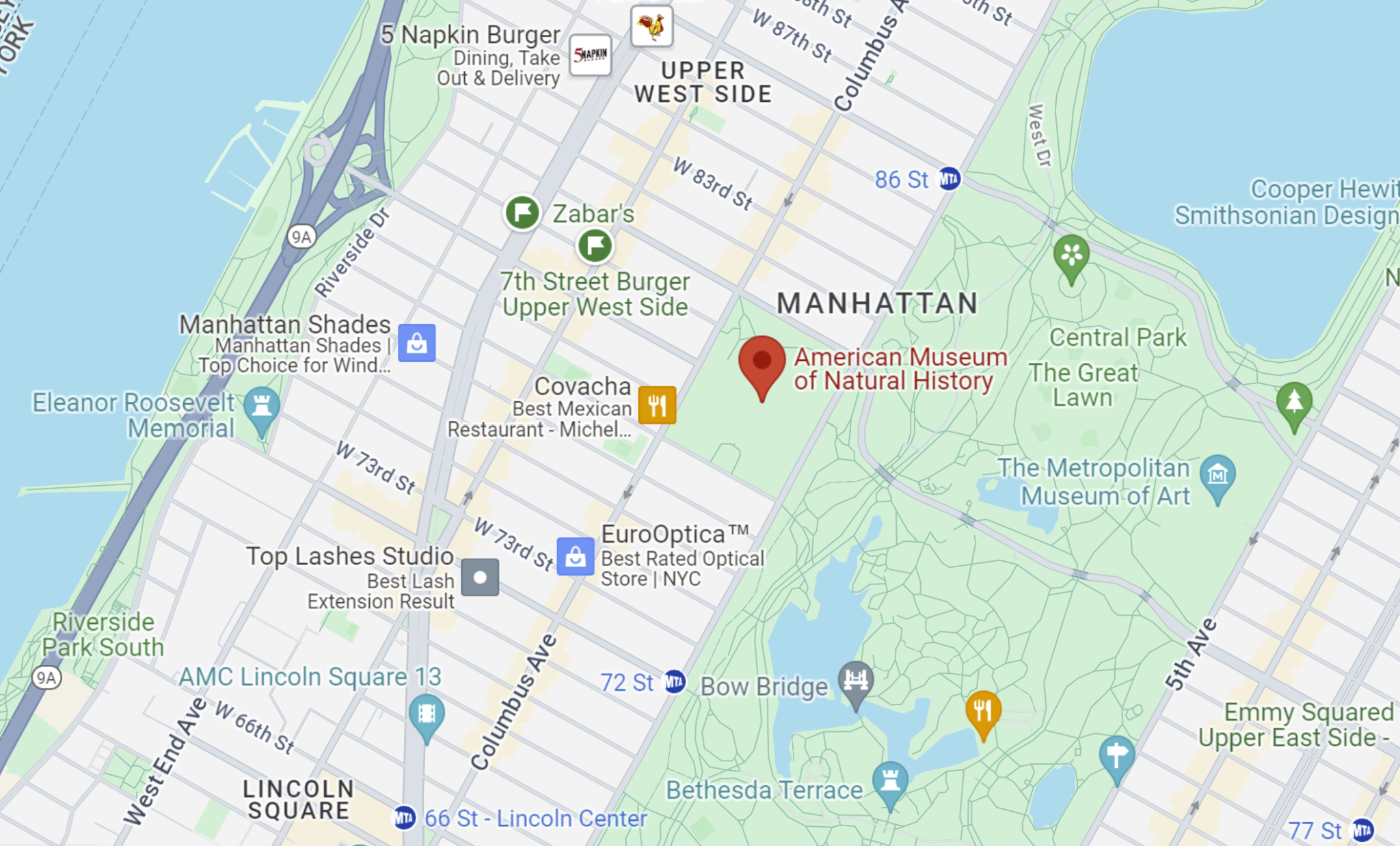 A Guide To The American Museum of Natural History NYC: Highlights ...