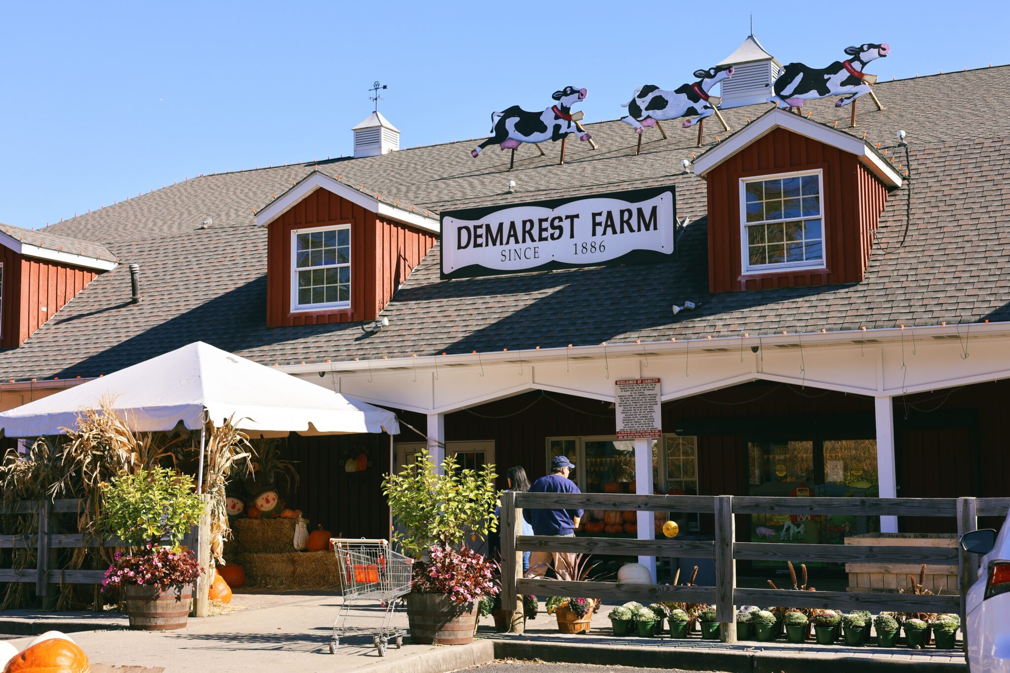 6 Amazing Apple Orchards Near New York City - Ana Florentina